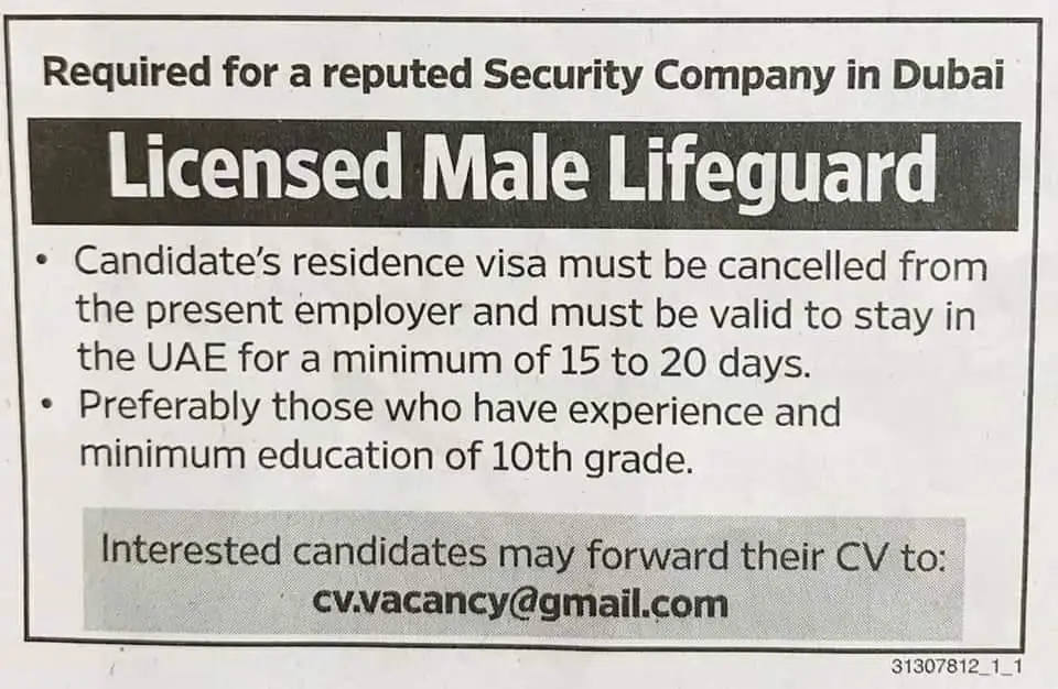 Licensed Male Lifeguard Dubai Uae Gulf Career Hunt
